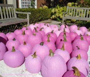 pink for breast cancer awareness — pleasure in simple things