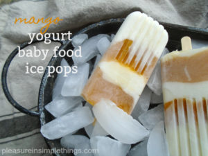 2 ingredient ice pops — pleasure in simple things
